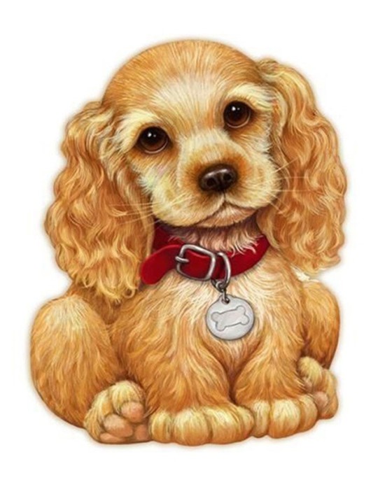 Diamantový obrázek - Kokršpaněl - 15 x 20 cm - 1007252 | Vaše online ...